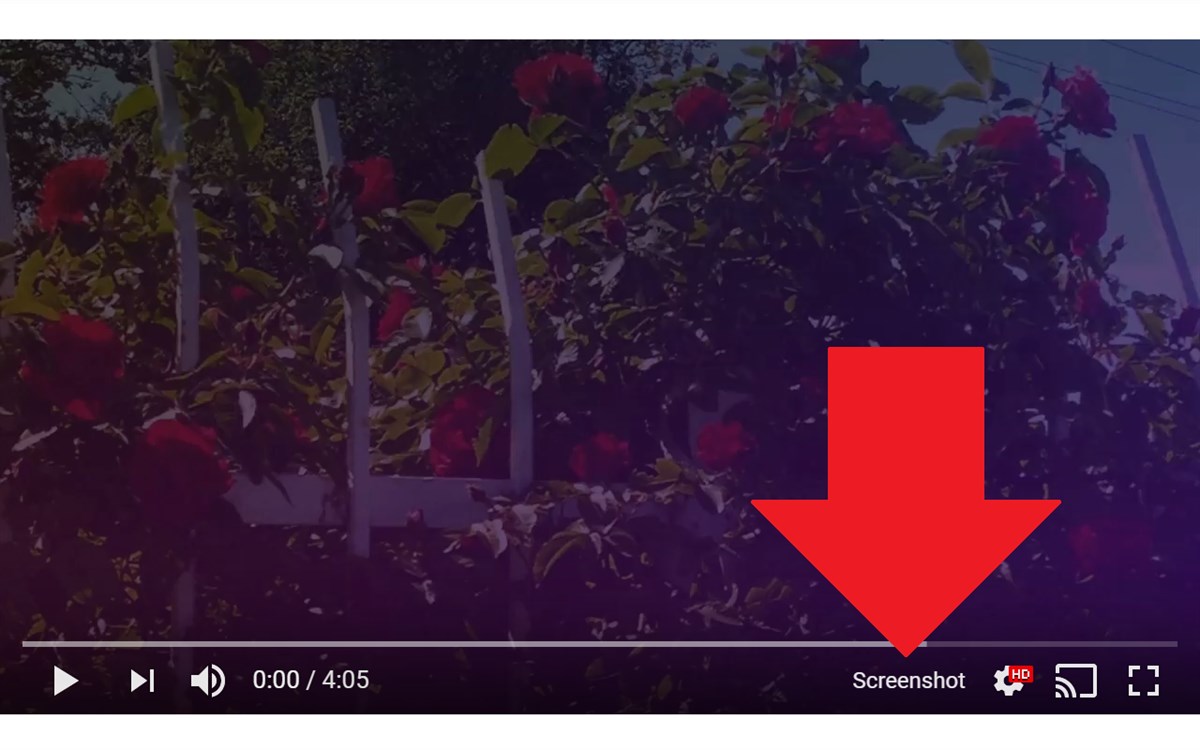 Screenshot YouTube: Capture Video Screenshots Easily