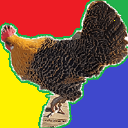 IP Detector - Microsoft Edge Addons