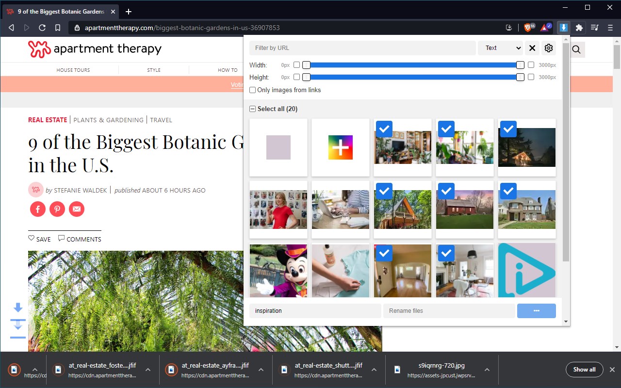Chrome extension downloader