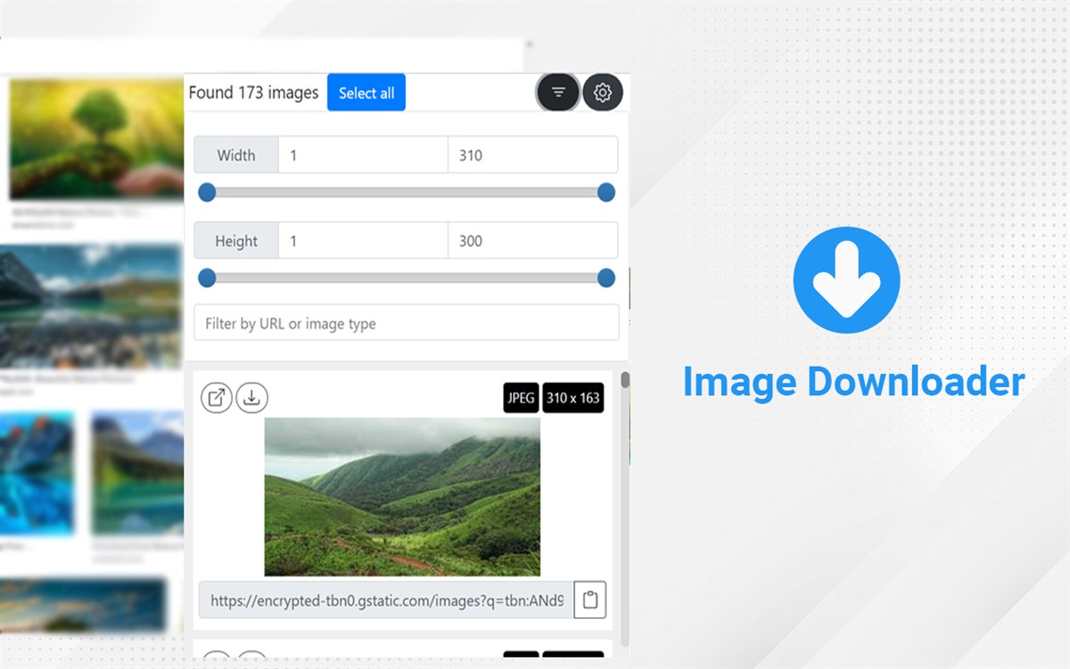 Image Downloader - Bulk Download Images Easily