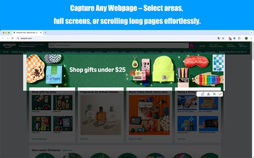 WebSnap - Full Page Scrolling Screenshot & Editor