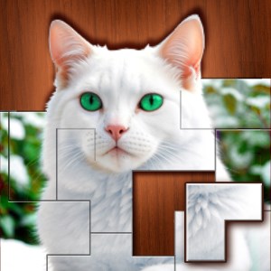 Jigsaw Puzzles Blocks - Free download and play on Windows | Microsoft Store