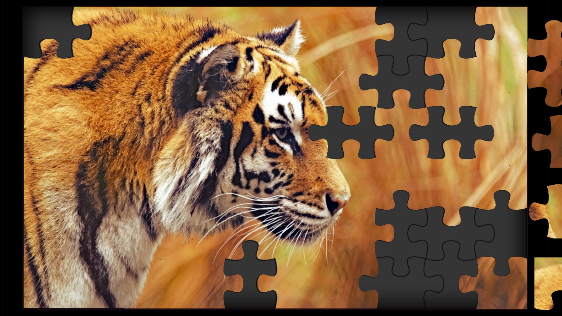 Tiger Jigsaw Puzzle Satın Al - Microsoft Store tr-TR