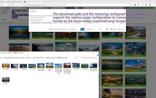 ImageAssistant Batch Image Downloader - Extract Images Easily