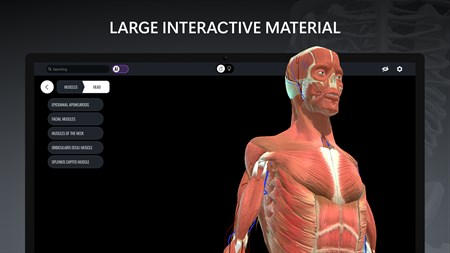 Interactive Anatomy Model Visual Anatomy 3D | Human For Android APK