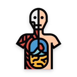 Human Muscles Anatomy Learning - Download and install on Windows ...