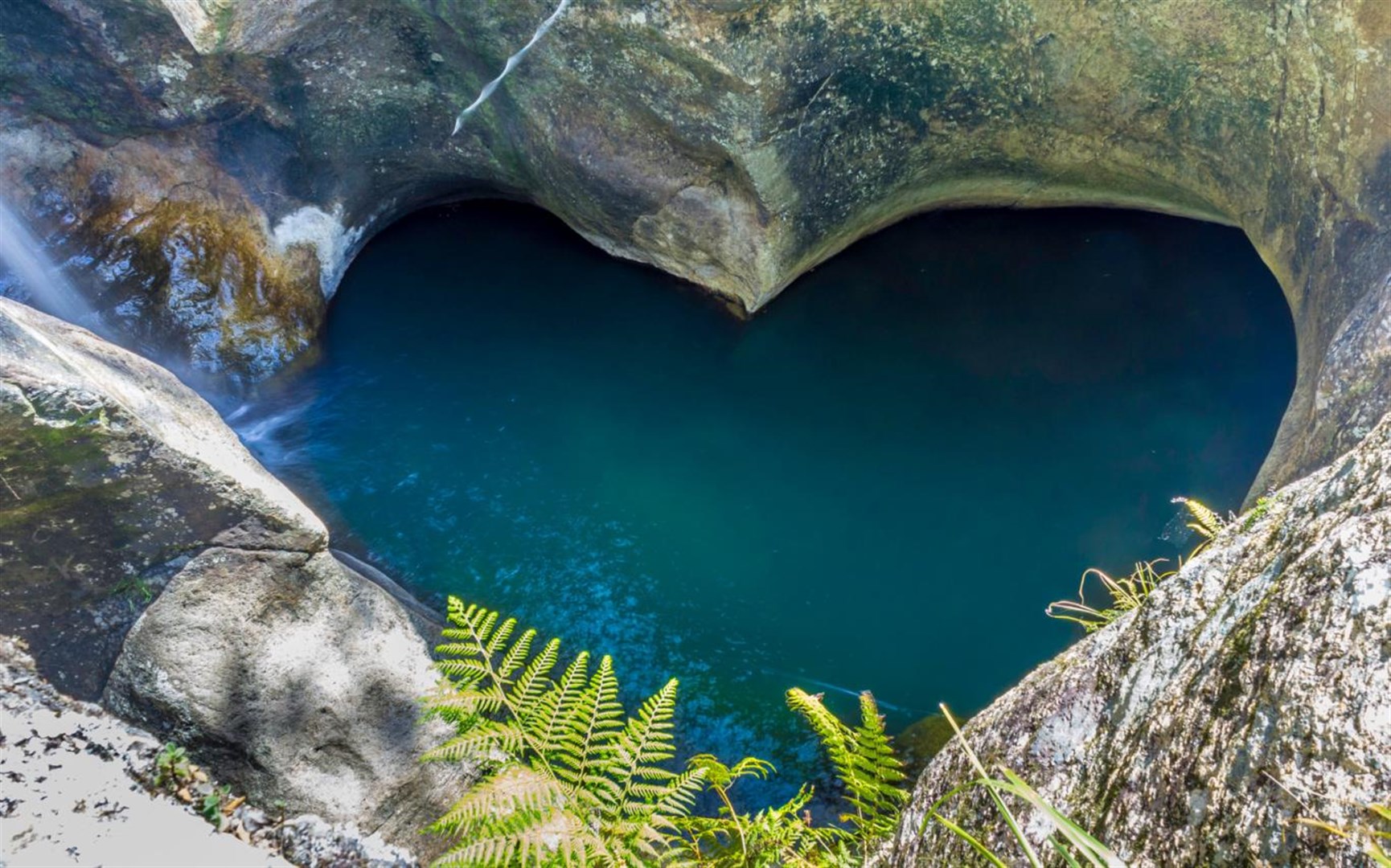Hearts In Nature Photos