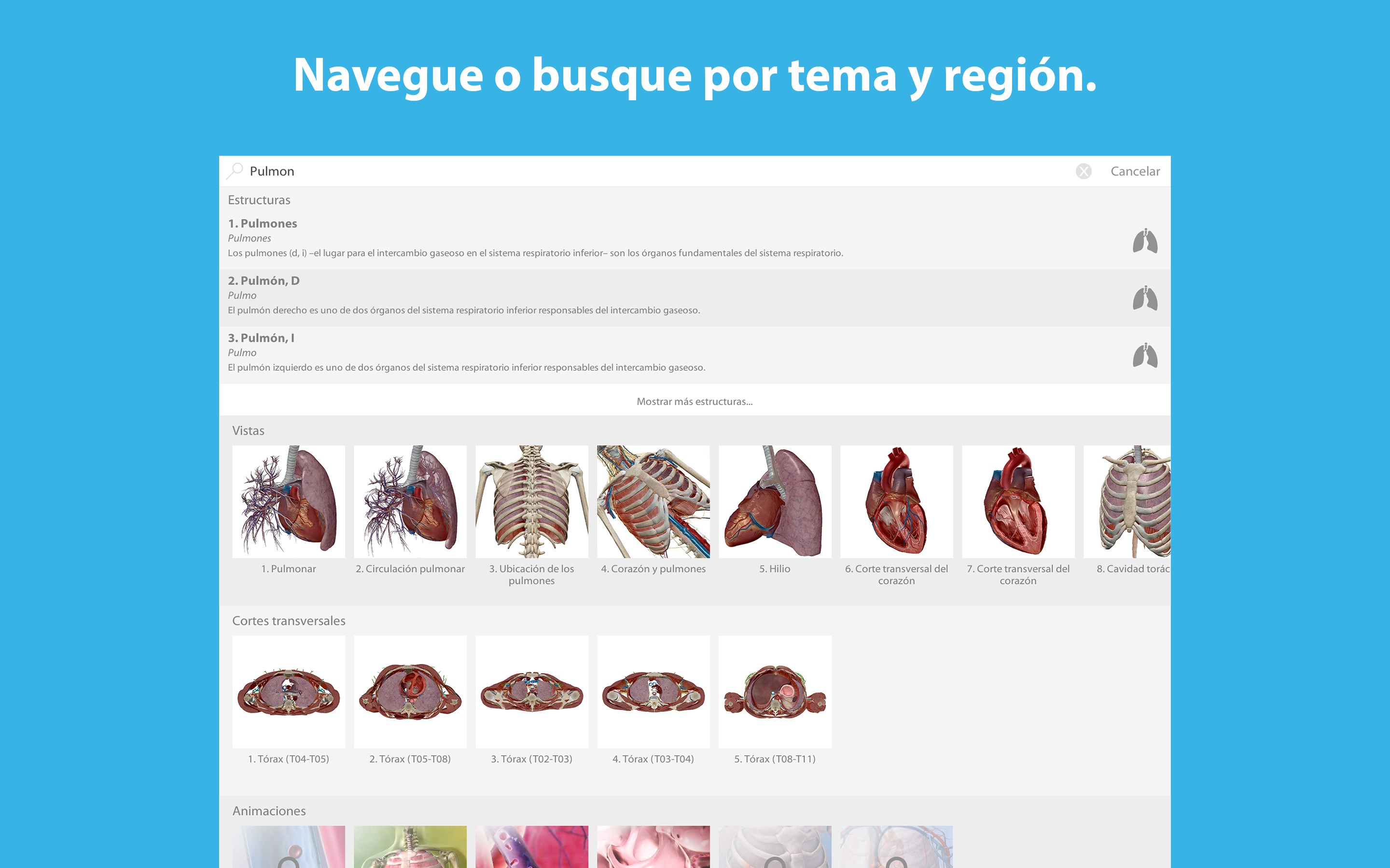 Atlas De Anatomía Humana 3d Del Cuerpo Visible