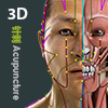 Visual Acupuncture 3D - Human for PC Windows