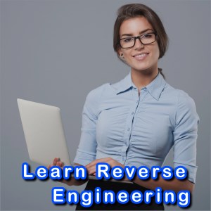 Learn Reverse Engineering - Download and install on Windows | Microsoft Store