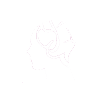 Leitner System - Official app in the Microsoft Store