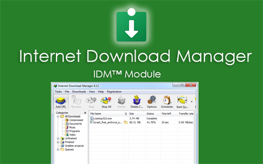 Internet Download Manager IDM™ Module - Video Downloader