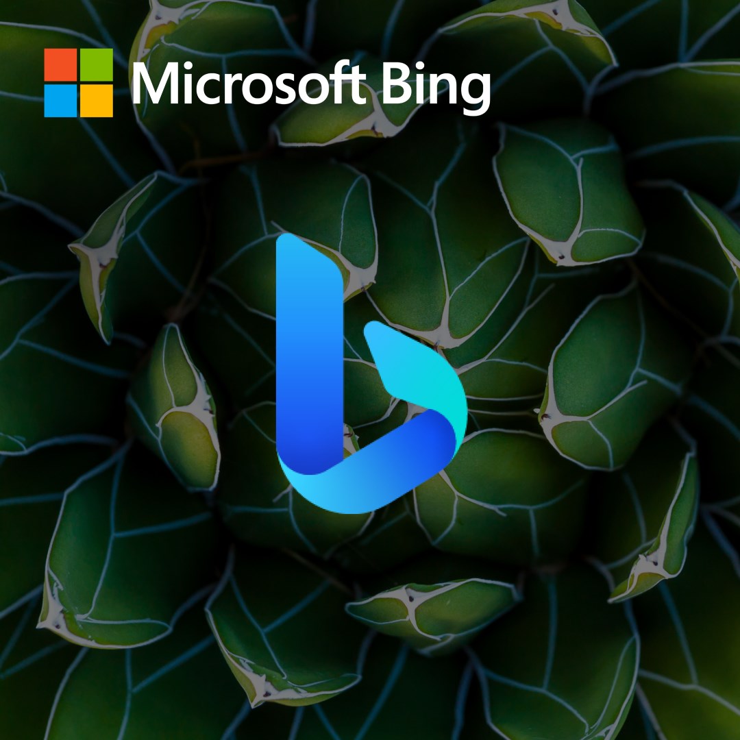 Microsoft bringing Bing Wallpaper app to the store - WinCentral