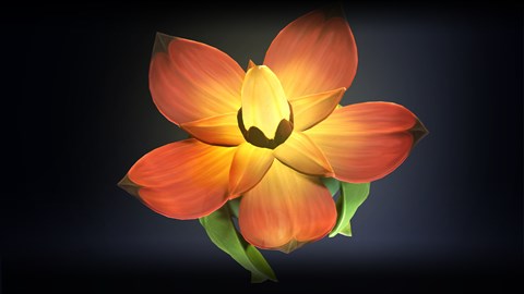 Buy Skyforge: Grovewalker Collector's Edition Preorder Bonus Pack | Xbox