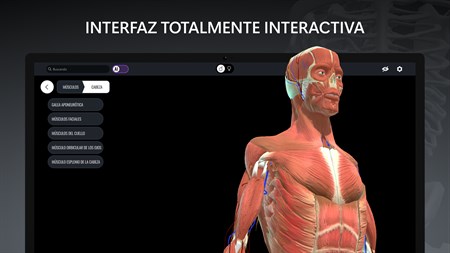 Anatomía 3d Interactiva