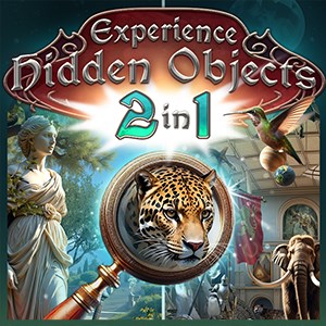 2 in 1 Experience Hidden Objects - Download and play on Windows ...