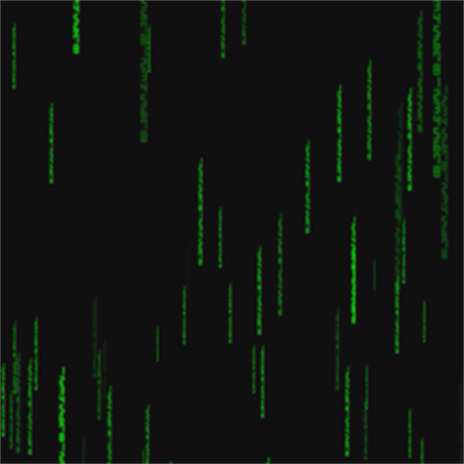 Matrix Animated Wallpaper