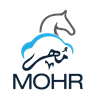 MOHR, Cloud based HR system