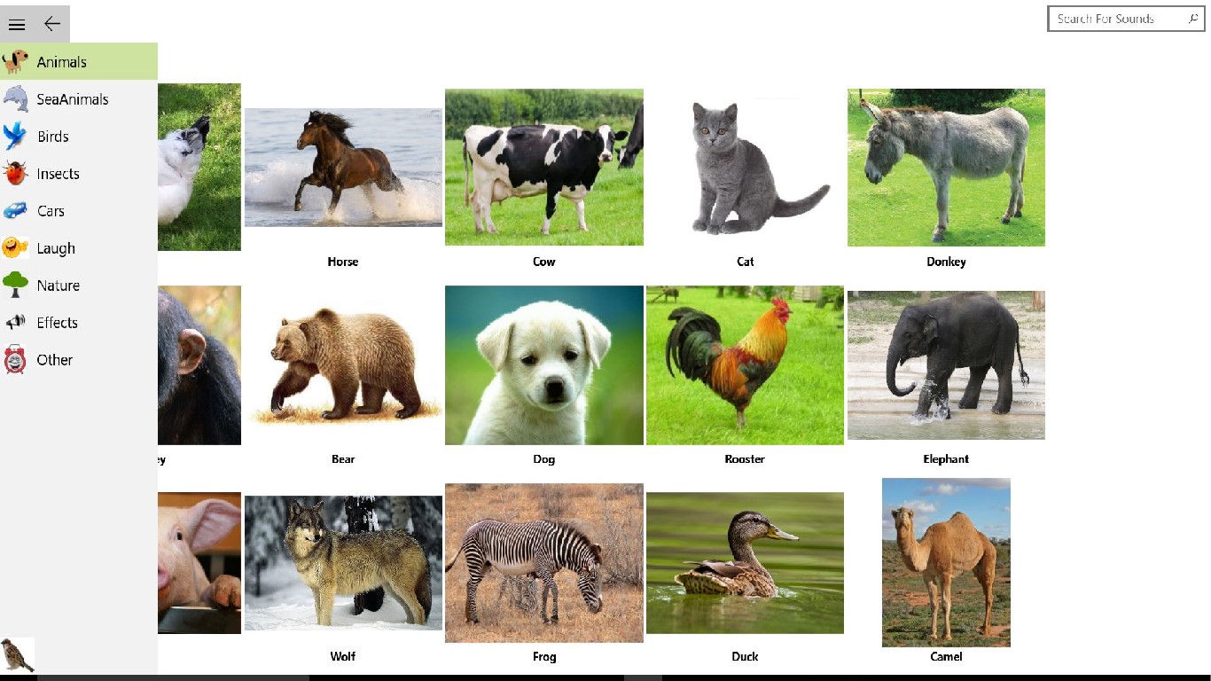 Animal Sounds For Kids/Children – (Windows Apps) — AppAgg