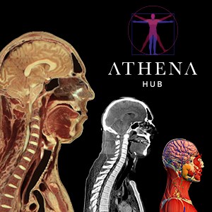 Virtual Cadaver Anatomy Lab - Athena Hub - Free download and install on ...
