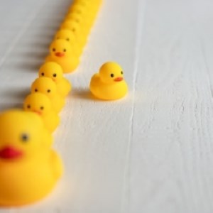 Ducks in a Row - Microsoft Edge Addons