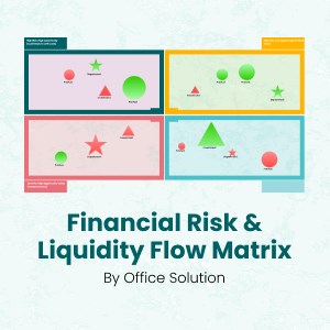 Financial Risk & Liquidity Flow Matrix