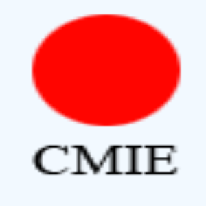 CMIE Indicators Add-in
