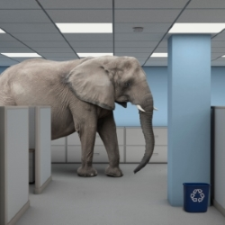 Elephant in the Office - Microsoft Edge Addons