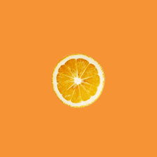 Hello Free Shavacado - Free download and install on Windows | Microsoft ...