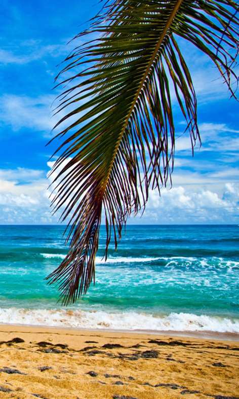 Preuzimanje proizvoda Pozadine Leto – Microsoft prodavnica sr-Latn-RS