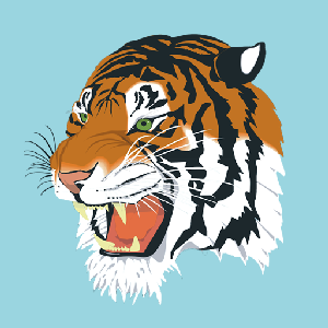 Animal & Bird Sound - Download and install on Windows | Microsoft Store