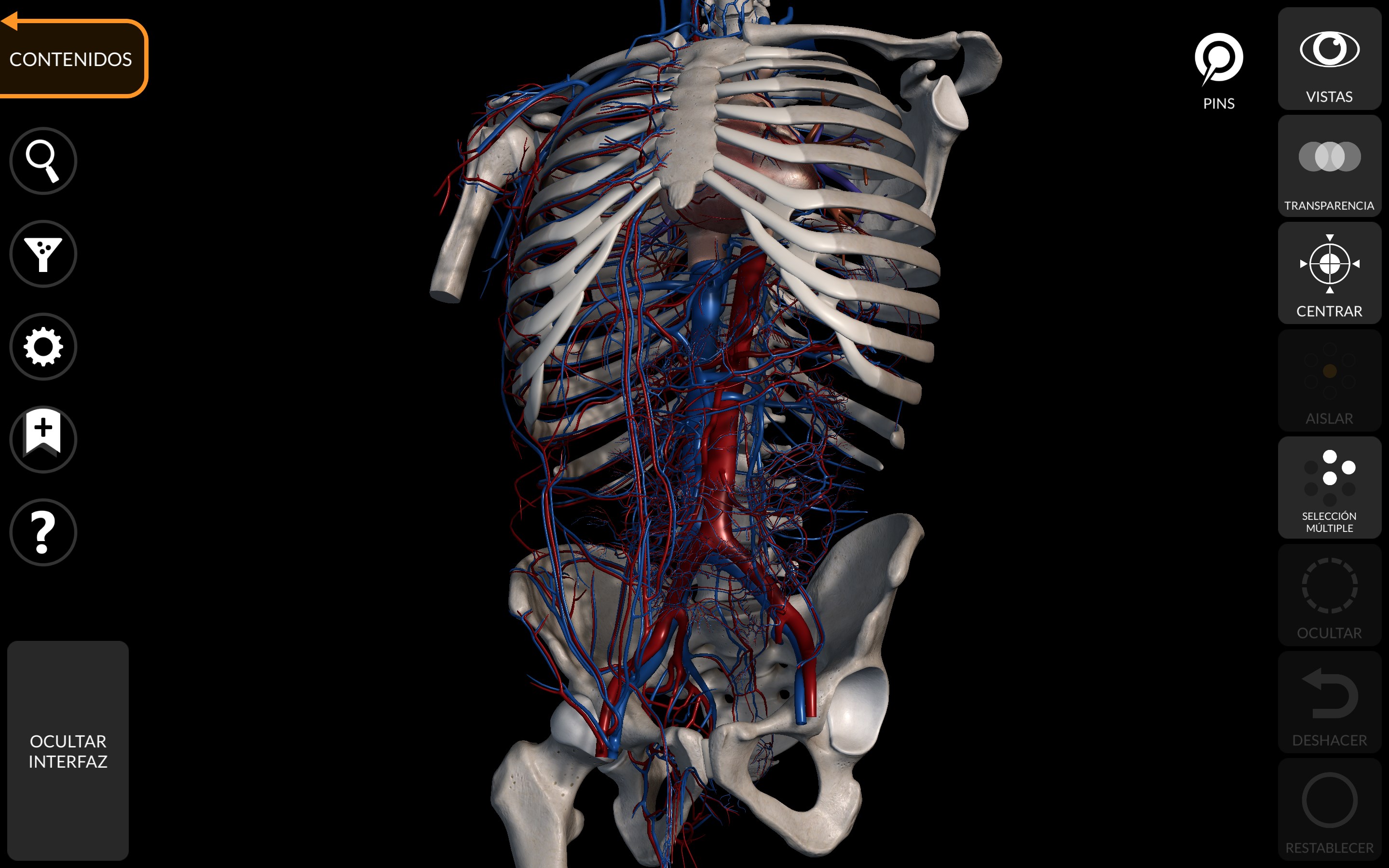 Anatomía 3d Interactiva
