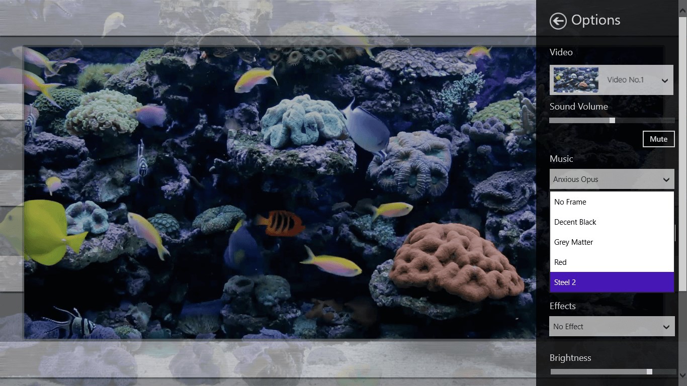 Aquarium Screensaver Windows 10 | ppgbbe.intranet.biologia.ufrj.br