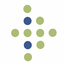 Real Dynamics: 9-Month Implementation and advisory and managed services