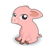 Get Block the Pig - Microsoft Store