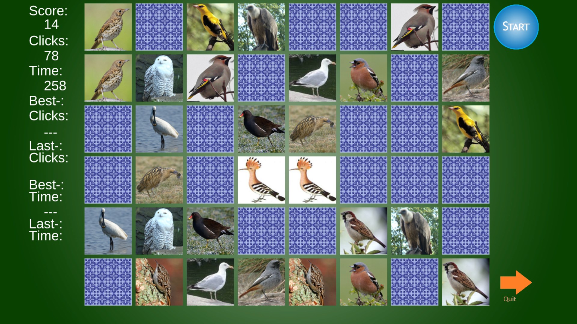 Buy Memory Game Birds - Microsoft Store en-AU