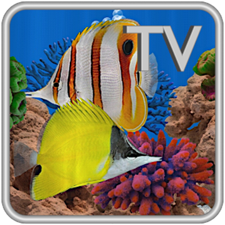 Cool Saltwater Fish